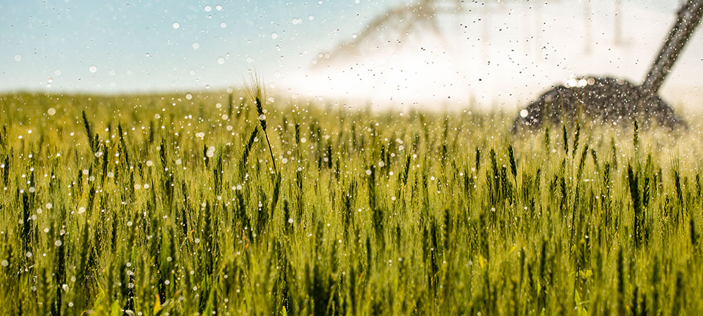 About - CHS West Central