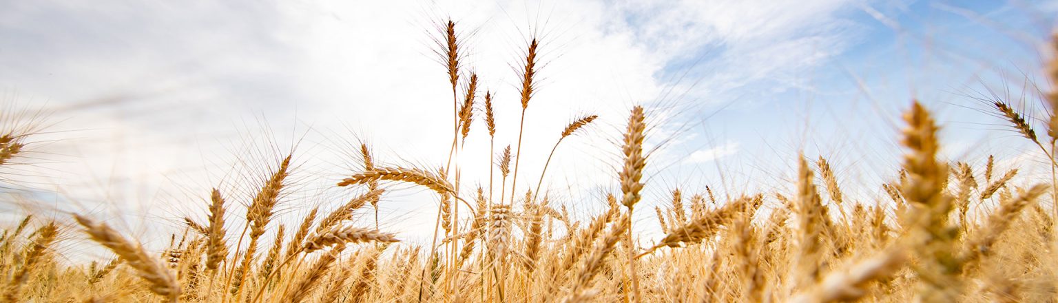 Receive market alerts - CHS West Central